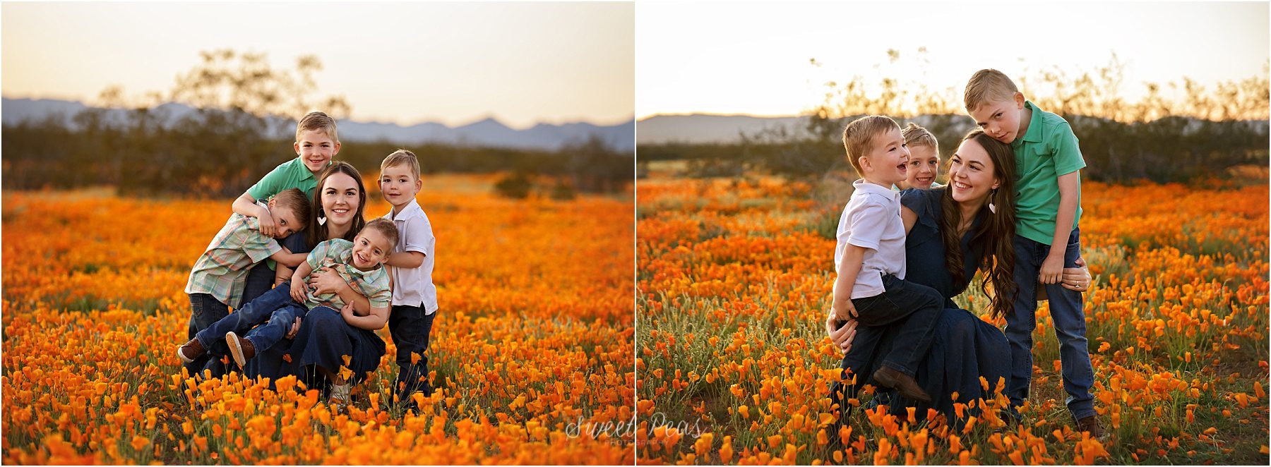 Poppies | Pitts Family | Kingman Photographer